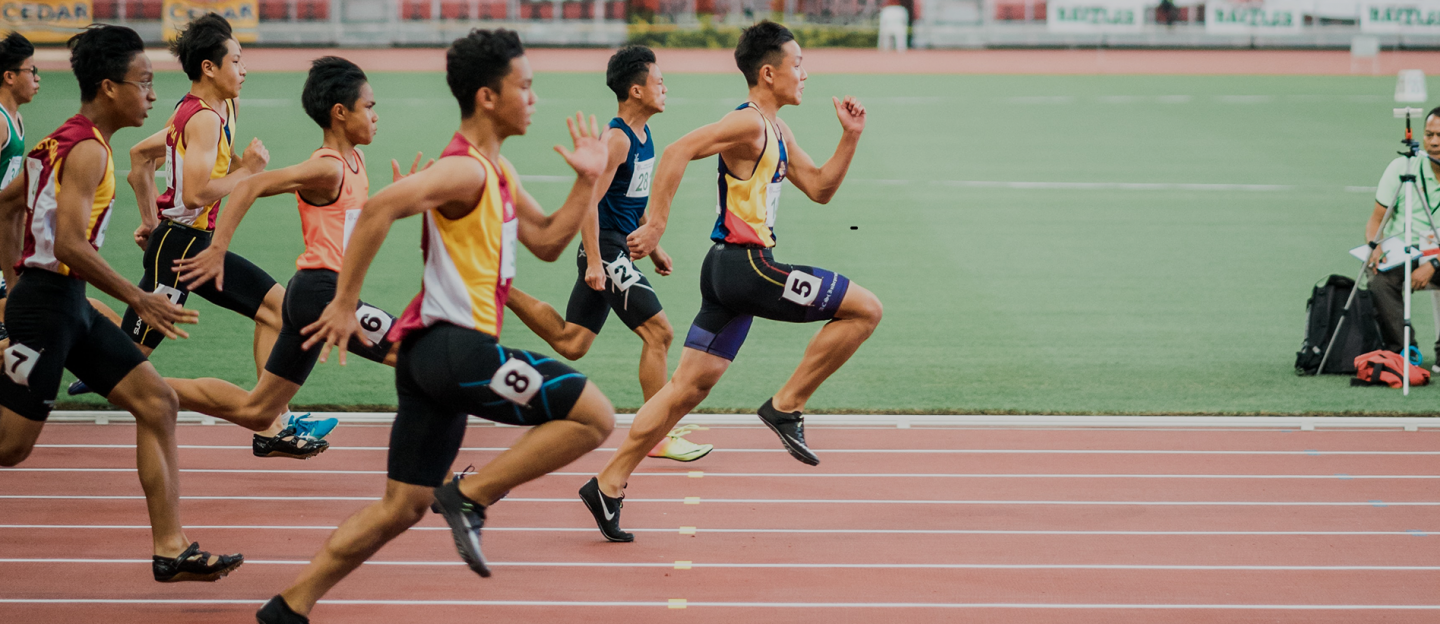 Run Forrest, Run! - Europavox